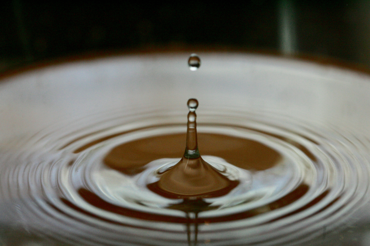 Diversity at a glance - Web-Publishing & Engineering