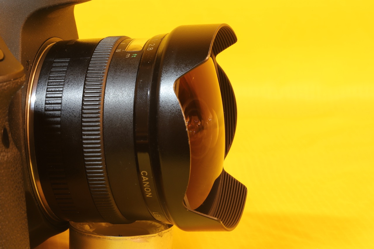 Creative Dragon Works – Creative Diversity – Photo, Web & more